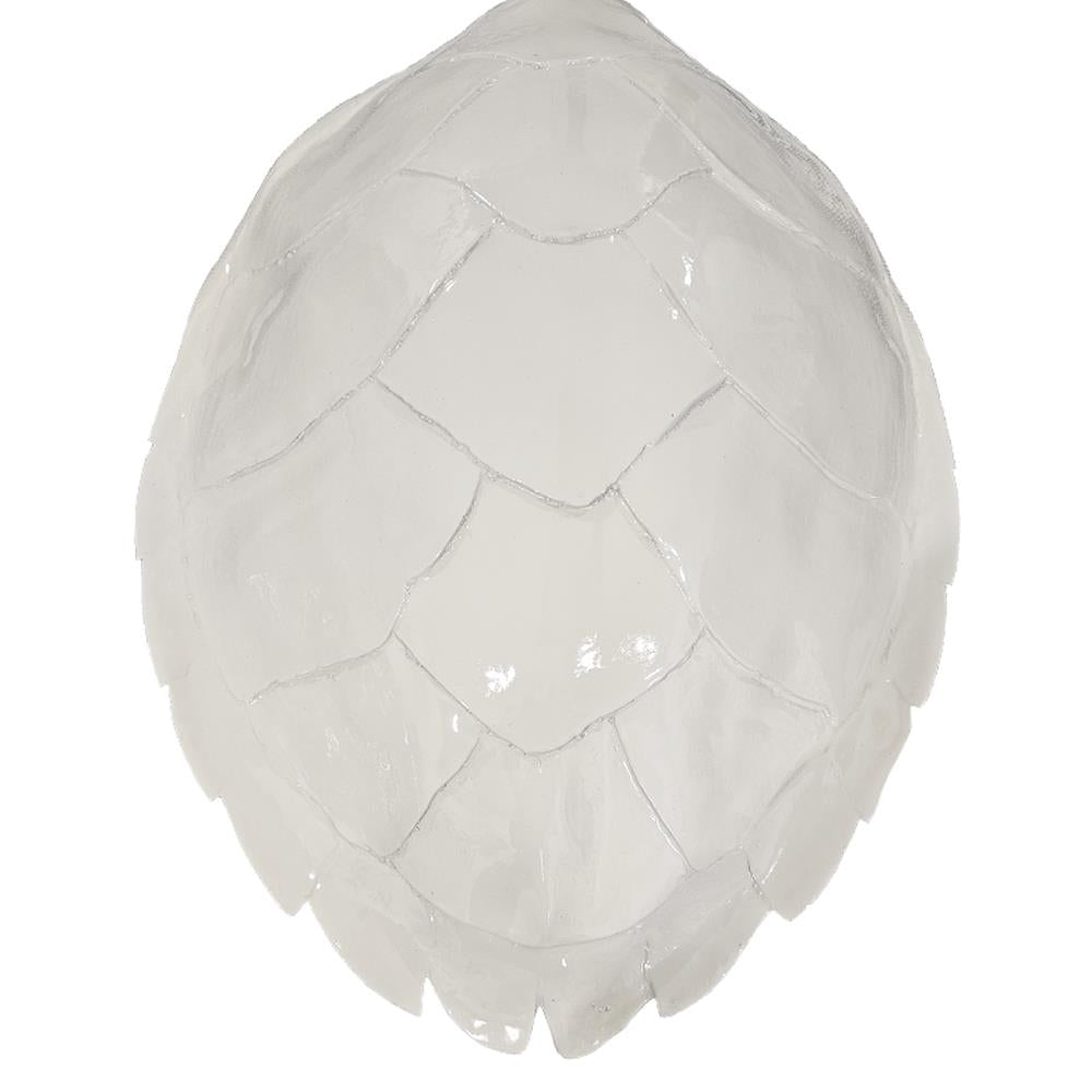 Edisto Coastal Solid White Hawksbill Turtle Shell – ARANZASU
